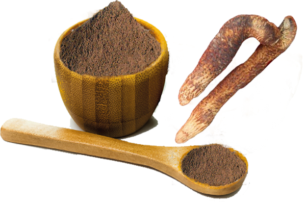 Cistanche Extract Powder 4:1 5:1 10:1 20:1 30:1 by TLC